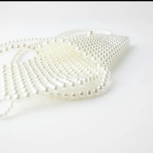 Zara | Bags | Zara Bag For Phone | Poshmark